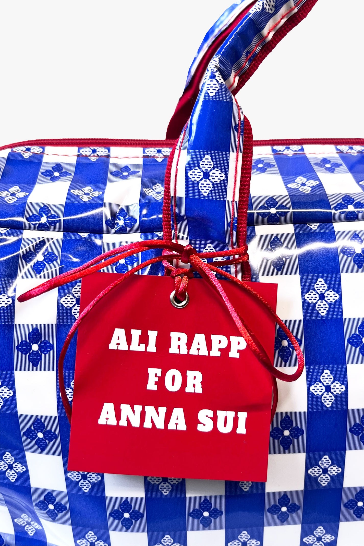Ali Rapp for Anna Sui Large Summer Picnic Bag